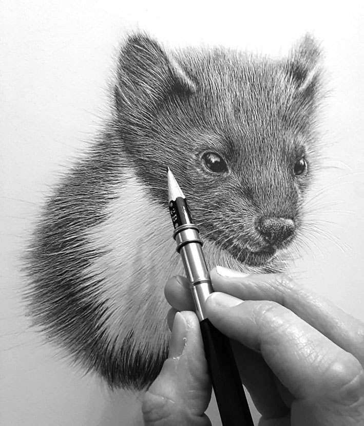 Home • Heather Butler Portraits • Pencil Portrait Artist • Pets and People